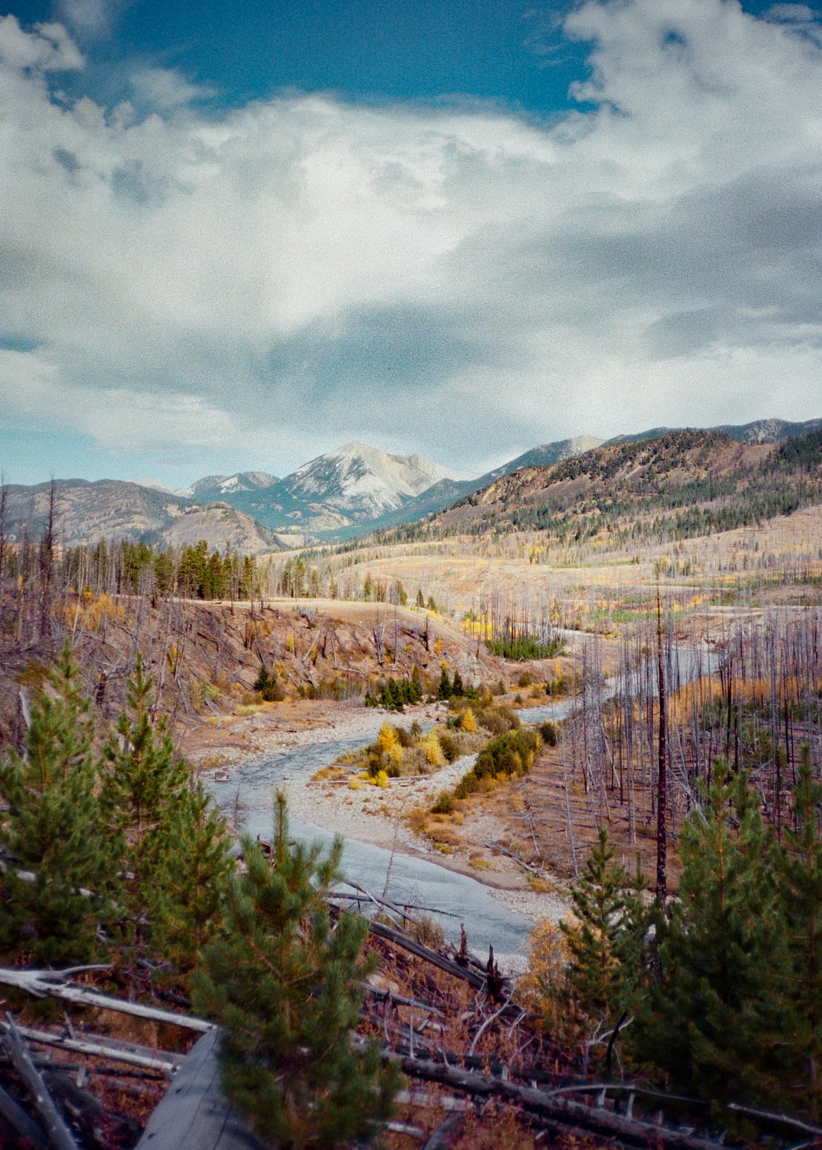 The Idea of Wilderness. There are two sorts of wilderness in… | by ...
