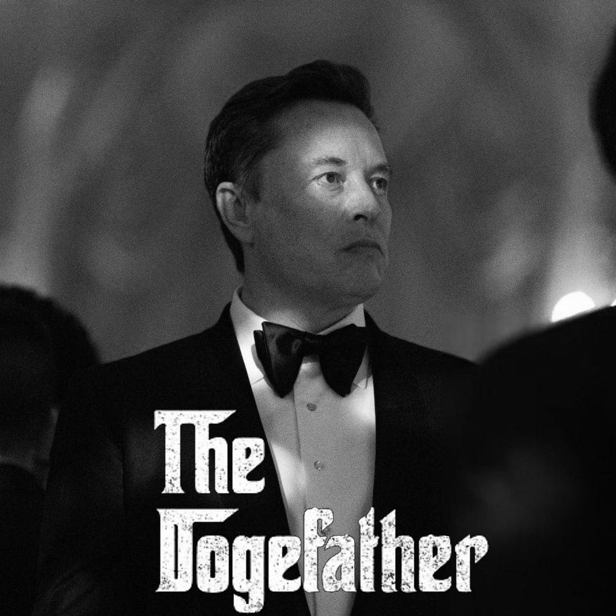 The Dogefather (DOGEFATHER): A Community-Driven Token Inspired by Elon Musk | by Rhaes | Nov ...