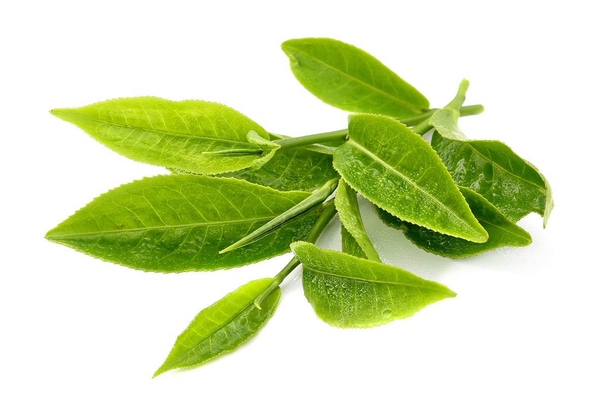 Is Tea Leaf Salad as Healthy as Regular Salad? | by Michael Joseph | Medium