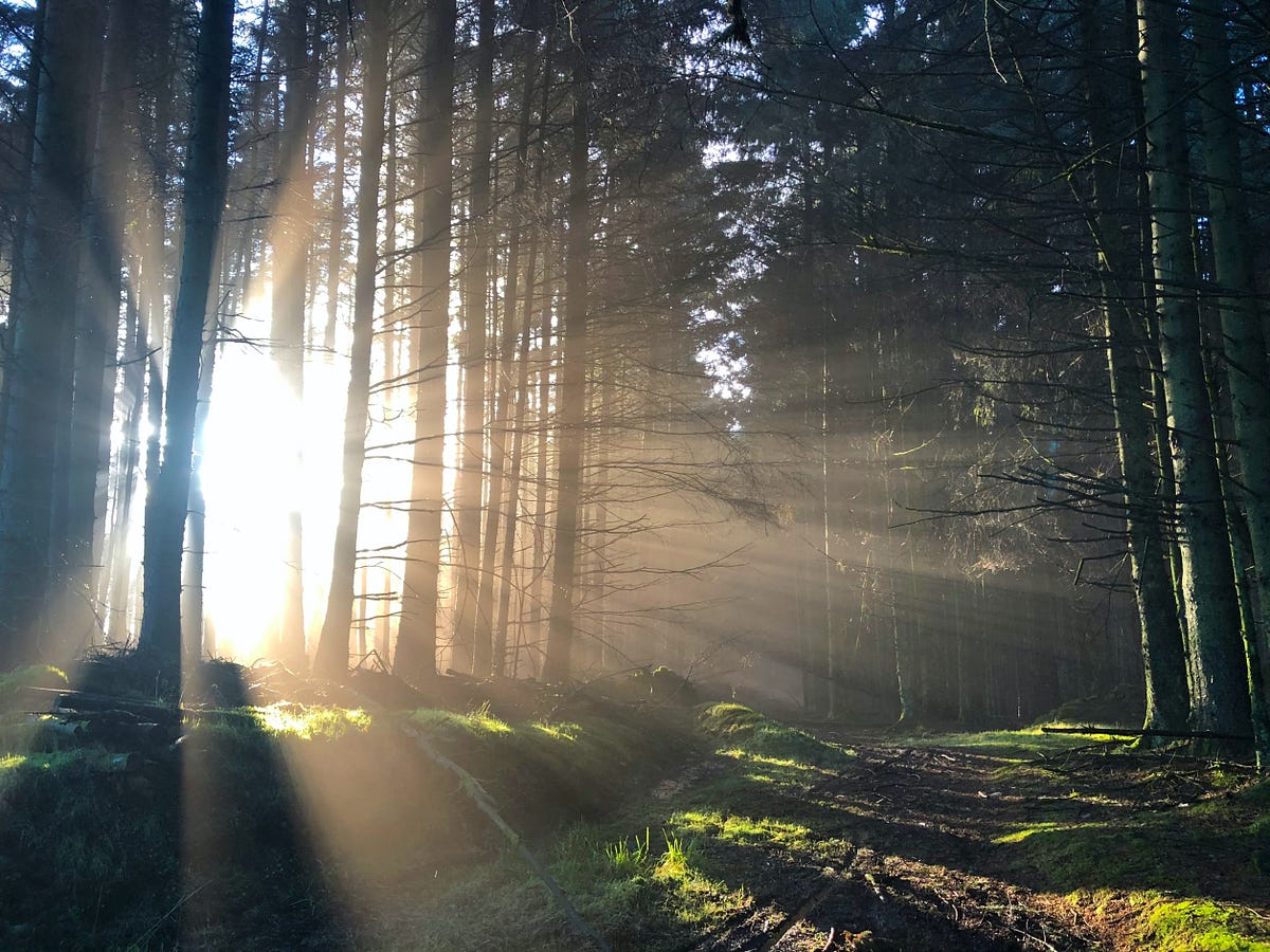 Why Are You Still Stumbling Around in the Dark? | by Lynda Dietz ...