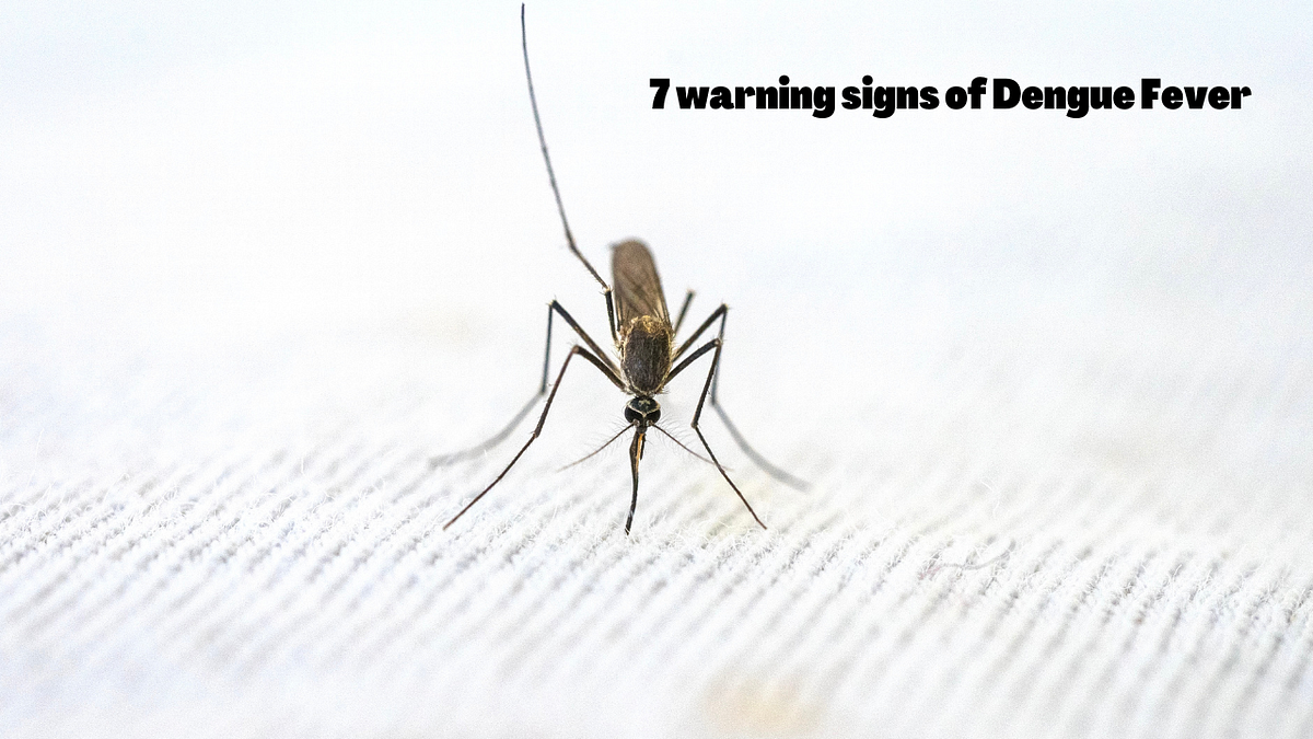 7 warning signs of Dengue Fever. What is Dengue Fever? | by Natalia Lee ...