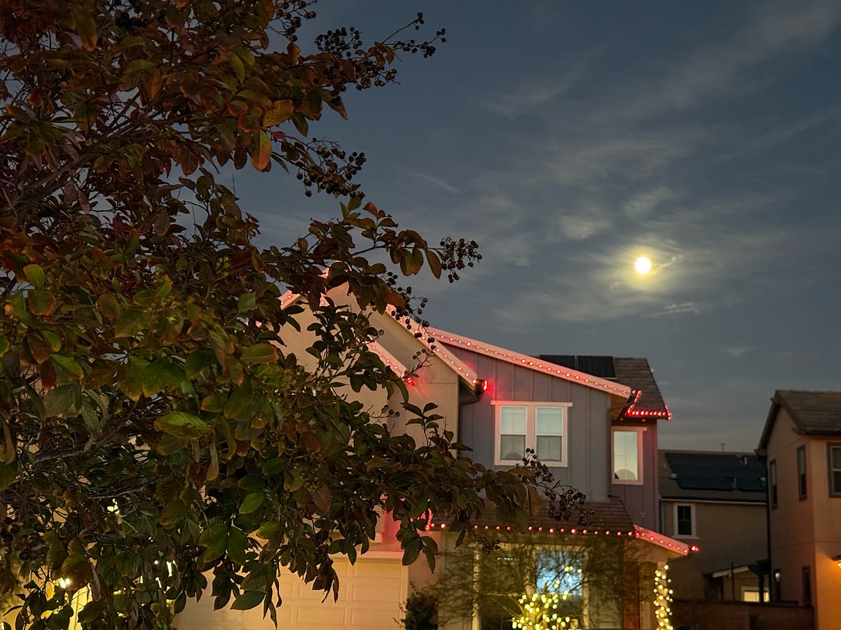 How To Dispel Winter’s Gloom?. Nature will help uplift the mood | by Dr ...