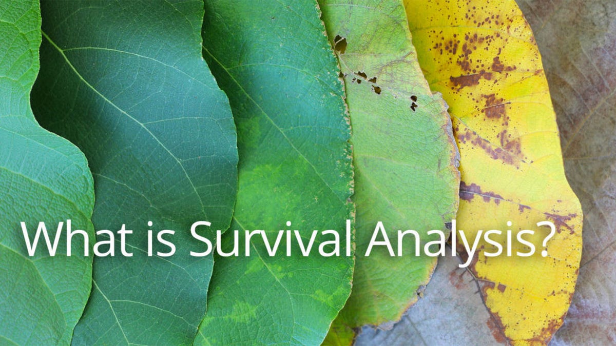 What is Survival Analysis? (or time-to-event) | by Ioannis Tsamardinos ...