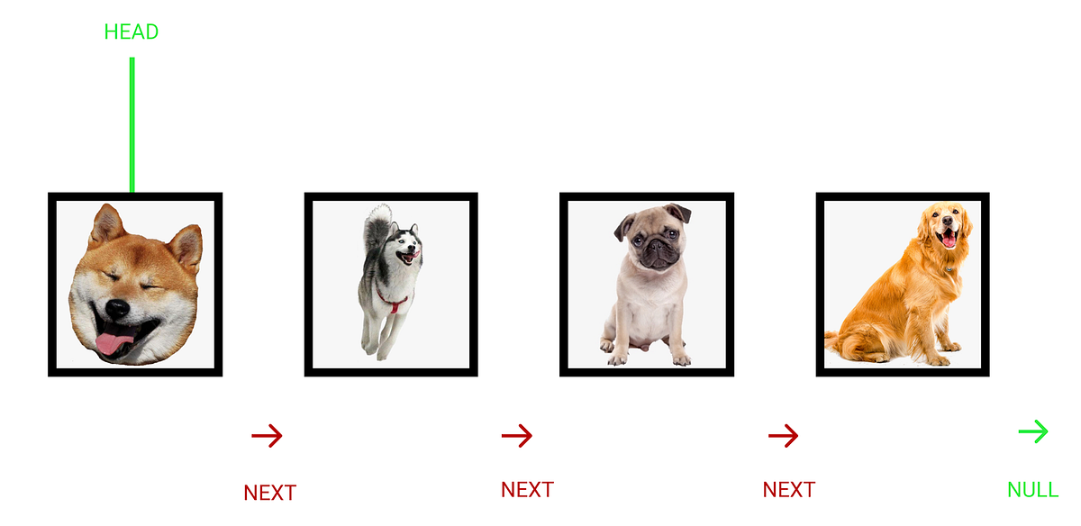 Decoding Data Structures with Dogs: Singly Linked Lists | by Gracie ...