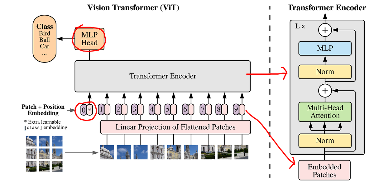 Are Transformers better than CNN’s at Image Recognition? | by Arjun ...