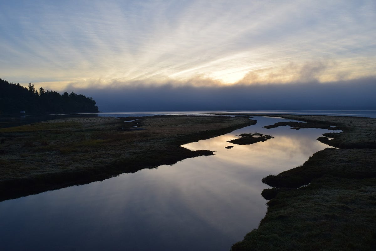 Confluence. A poem | by Jessica Lee McMillan | The Junction | Medium