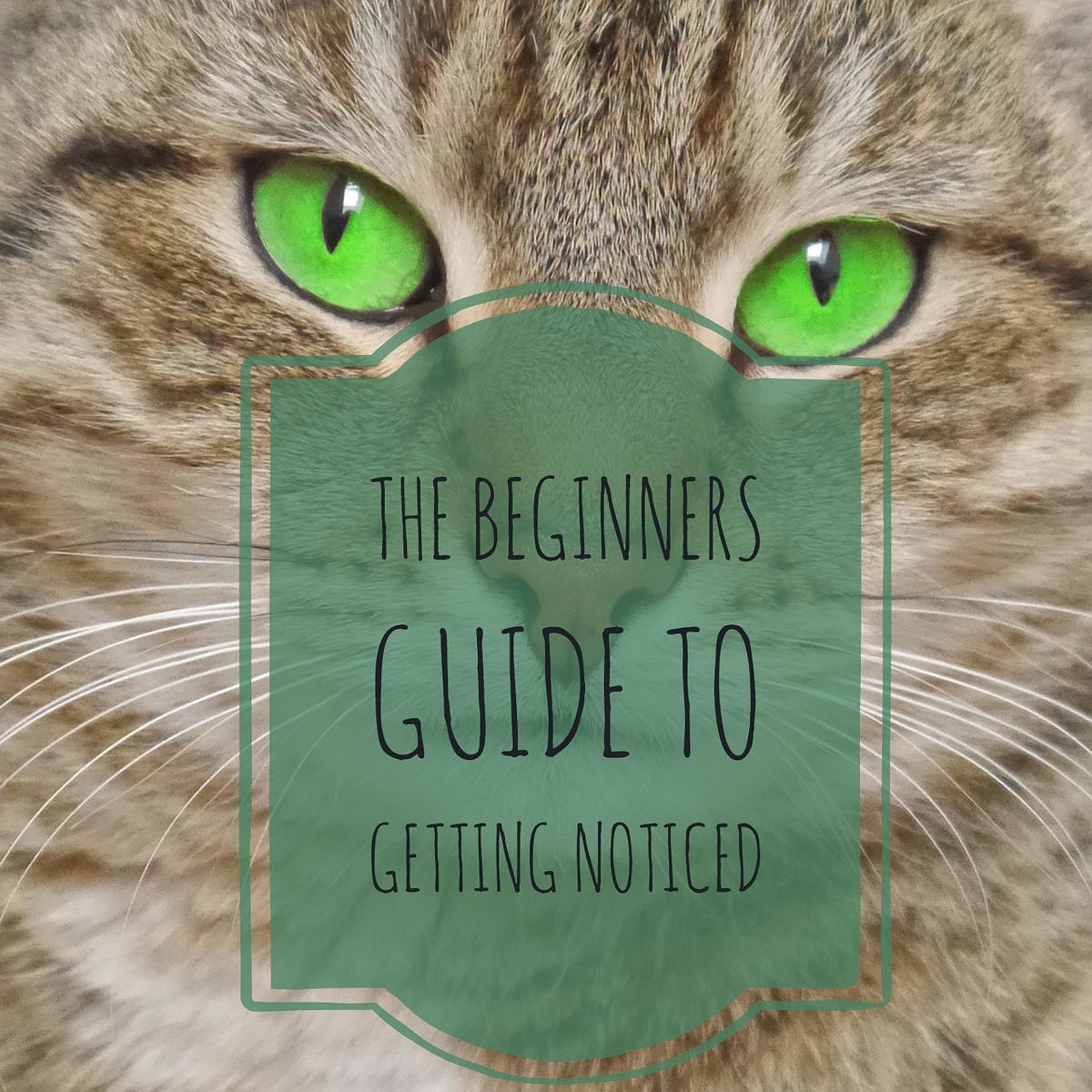 A Beginners Guide to Getting Noticed | by Brendan McCaughey | Medium