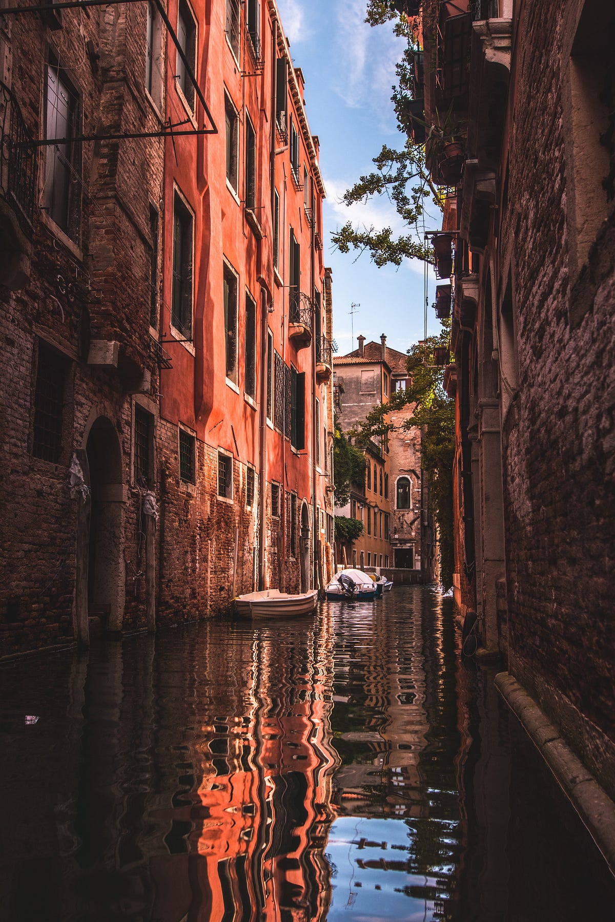 Venice in quarantine: the beauty of our urban environment rises again ...