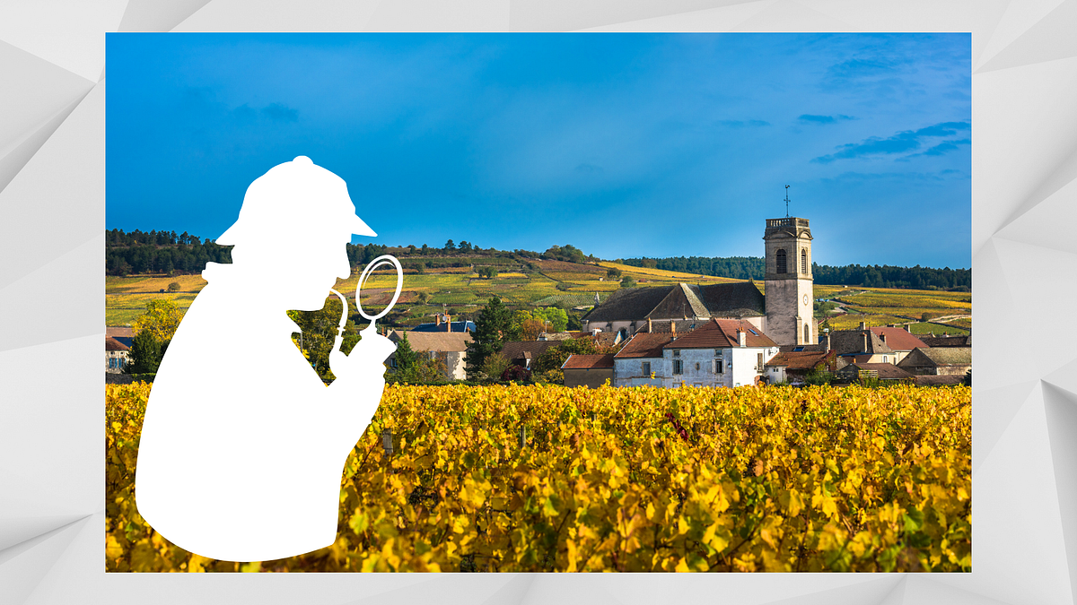 Domaine Ponsot: A tale of wine forgery. | by NFT Sommelier | WIVA by ...