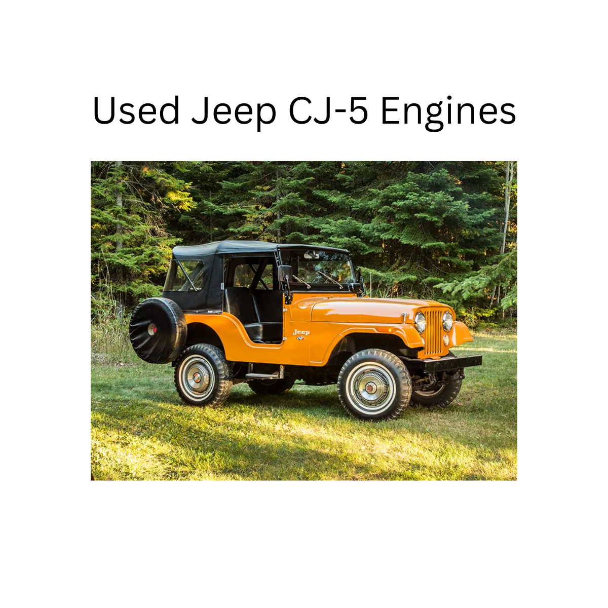 Rekindle the Adventure: Used Jeep CJ-5 Engines from Vander Engines | by Vander Engines | Dec ...