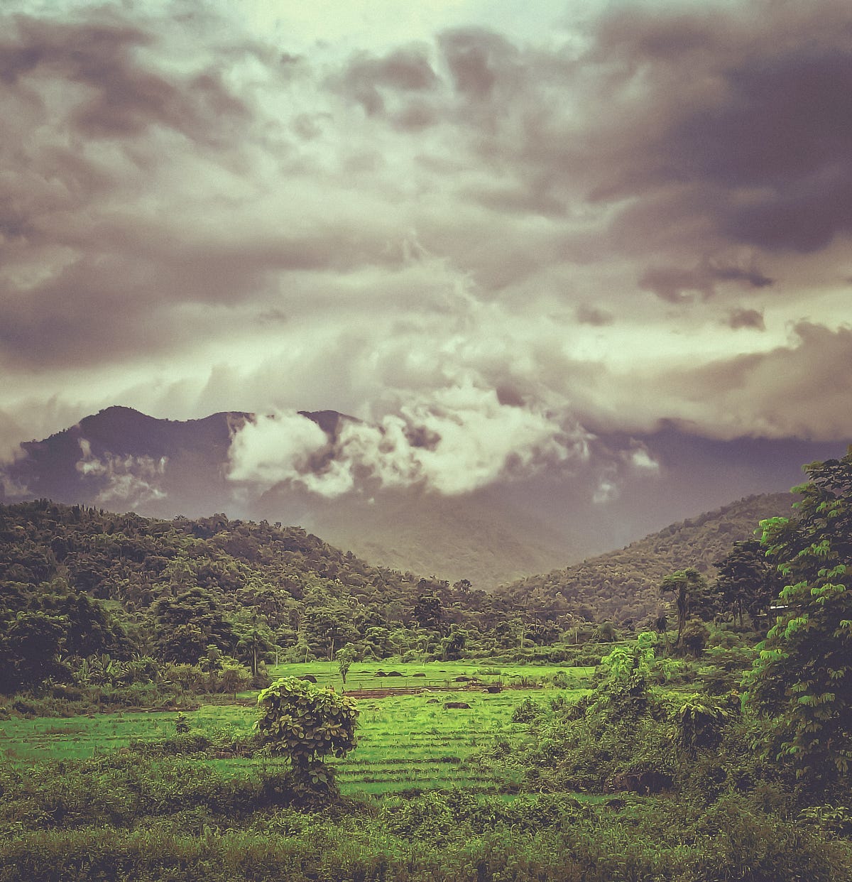 Does your patience really mean failure after all? | by Perplexed ...