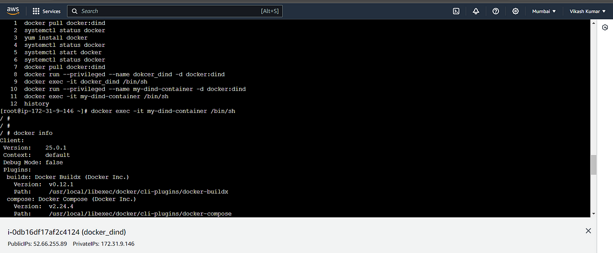 Find A Way How To Setup Docker Inside Docker Dind Docker By Vikash Safi Medium