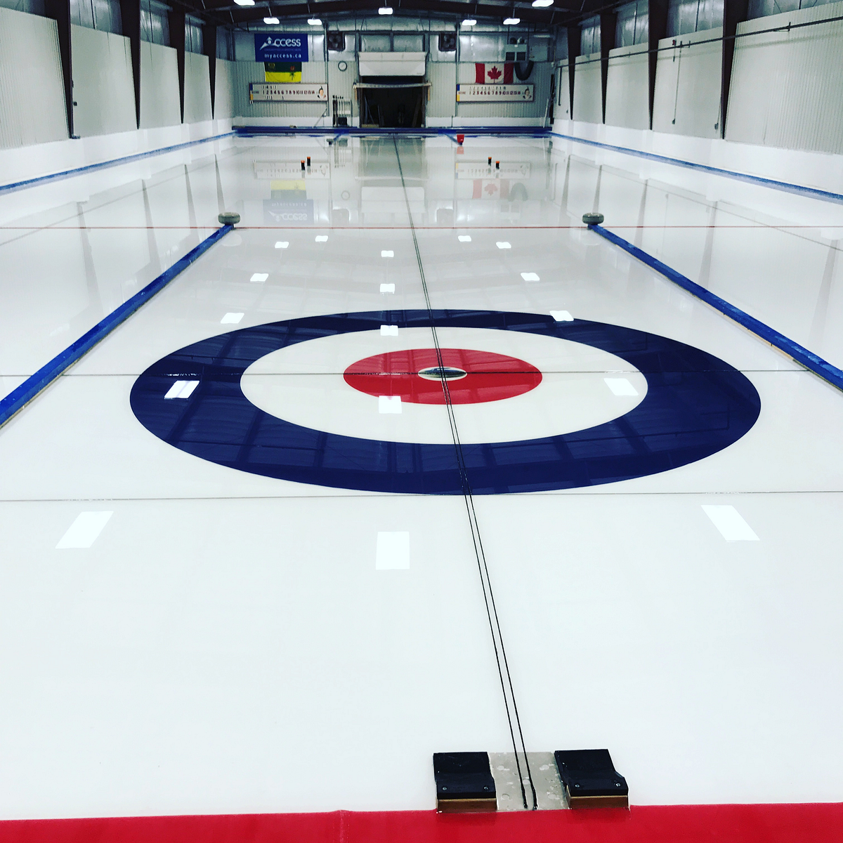 Curling: Nice on Ice. Do you hear yanny or laurel? This… | by Ruth's ...