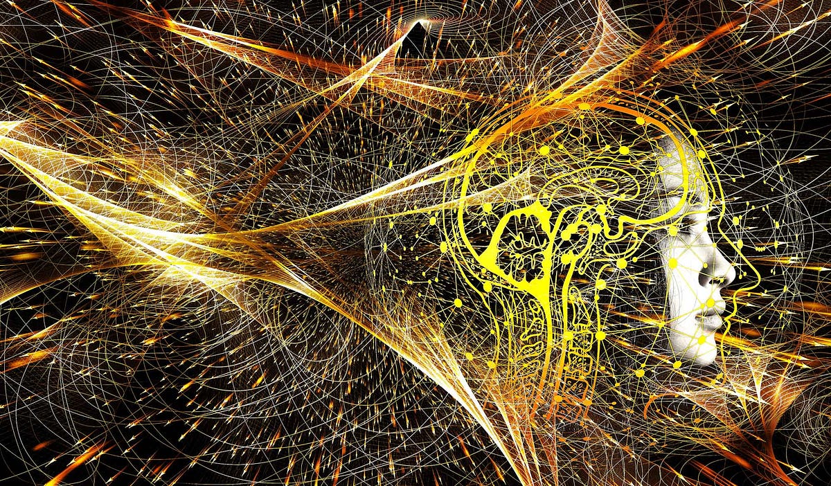 The Source of Intelligence. Darwin’s doubt: Accident or design? | by ...