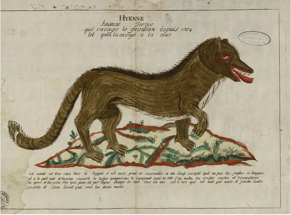 Everything is Possible: Real Live Werewolves | by Erikka Innes | From ...