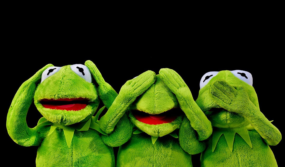 So Now We’re Beating Up Stuffed Animals? | by Samantha Kemp-Jackson ...