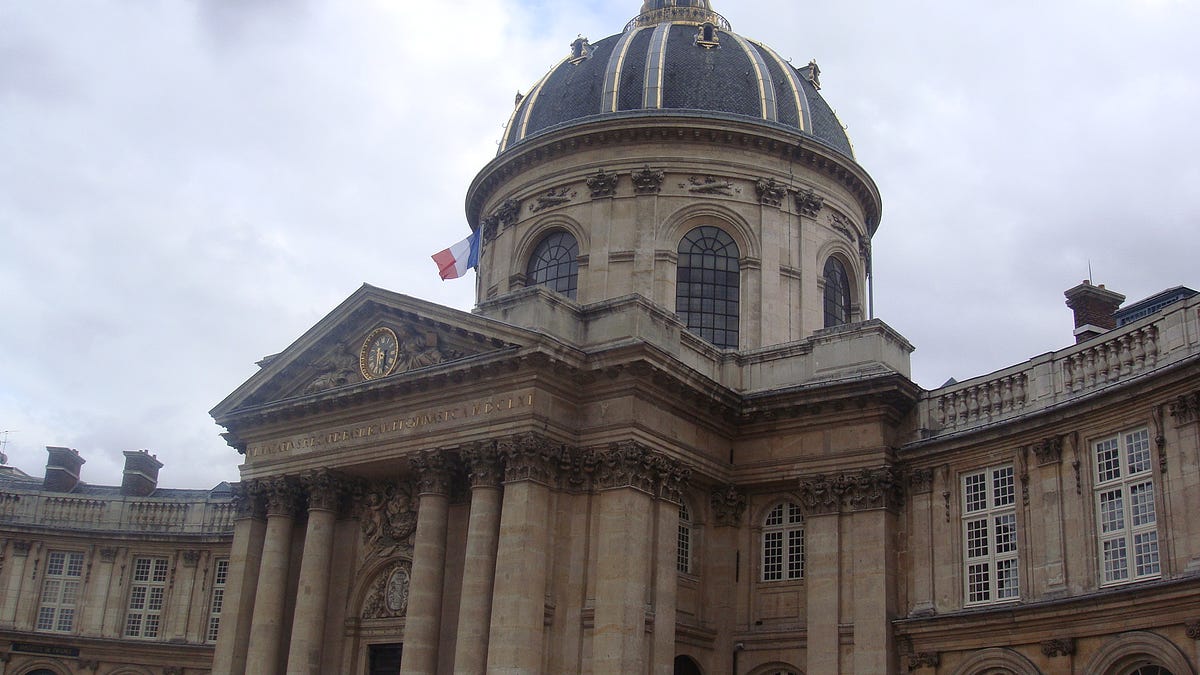 THE FRENCH INSTITUTION | by Davina Aussieria | Medium
