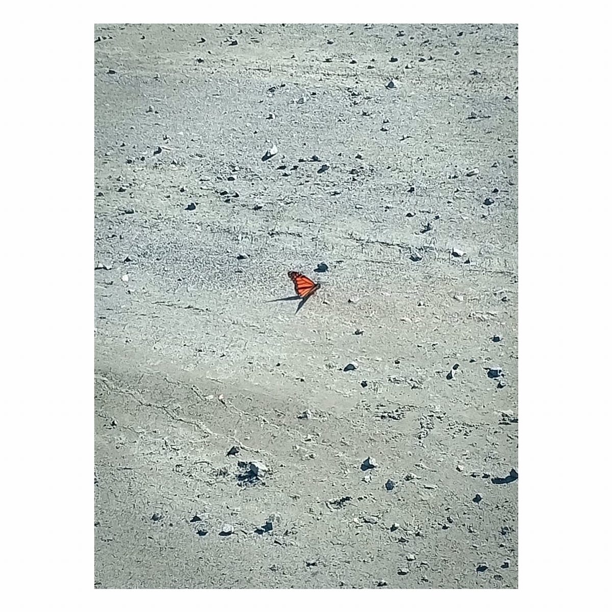 Disrupting our own abusive cycles and status quo. | by Umey Aimen | Medium