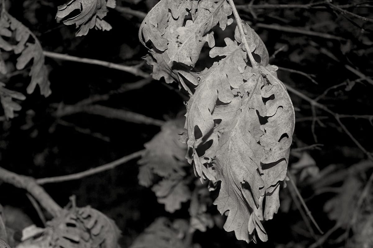 12 Subtle Signs You Are Living in a Low Vibrational State — and Why It ...