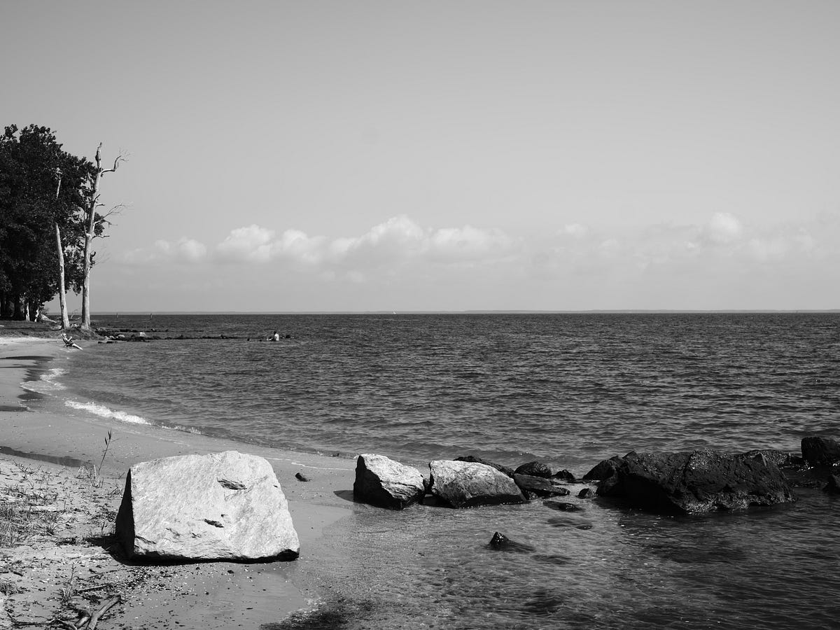 The Value Of A Photograph. Photography simulates the physical… | by ...