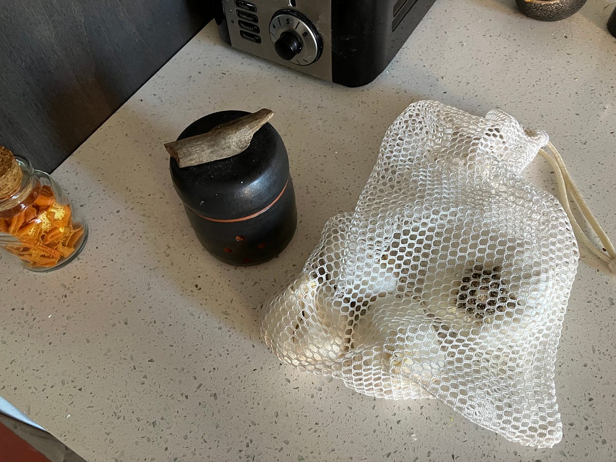 Zombie Garlic. or how to not let the past suck the… | by Cinse Bonino ...