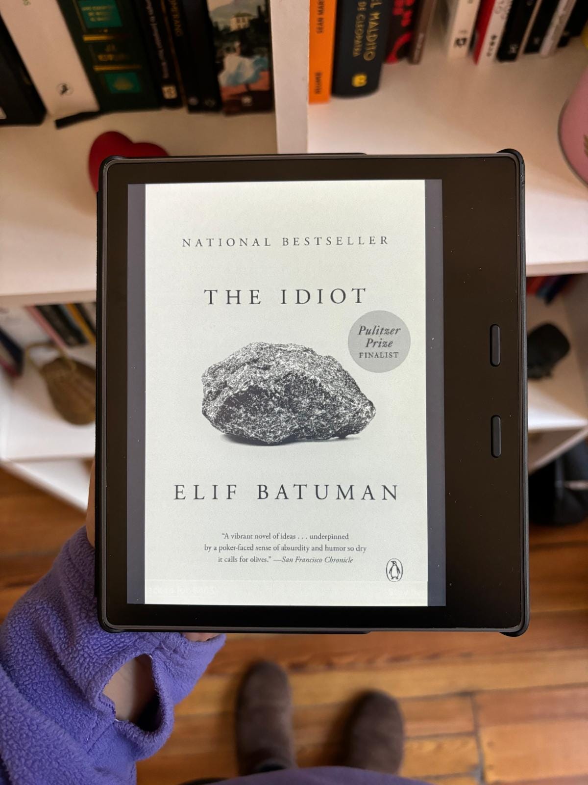 Sobre “La Idiota” de Elif Batuman | Yo, Regie