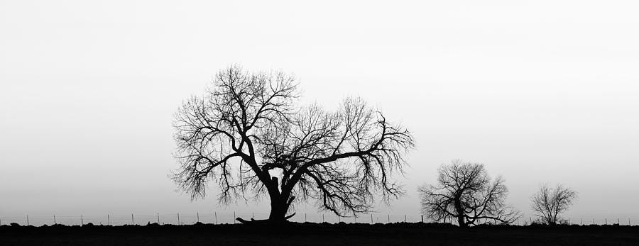 A reminder. by Patrick Tomassi | by Patrick Tomassi | Response ...