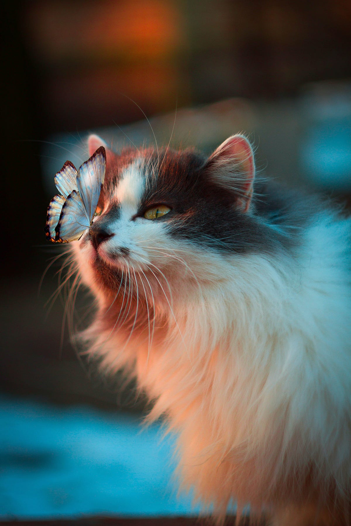 If You Love Them, Let Them Go - Lifeline - Medium