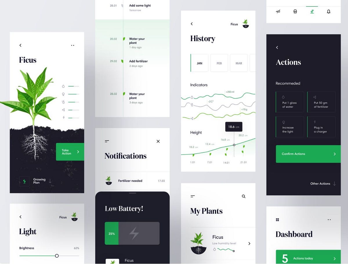 Grow it, Cook it App. I would like to run you through the… | by Nadifa ...