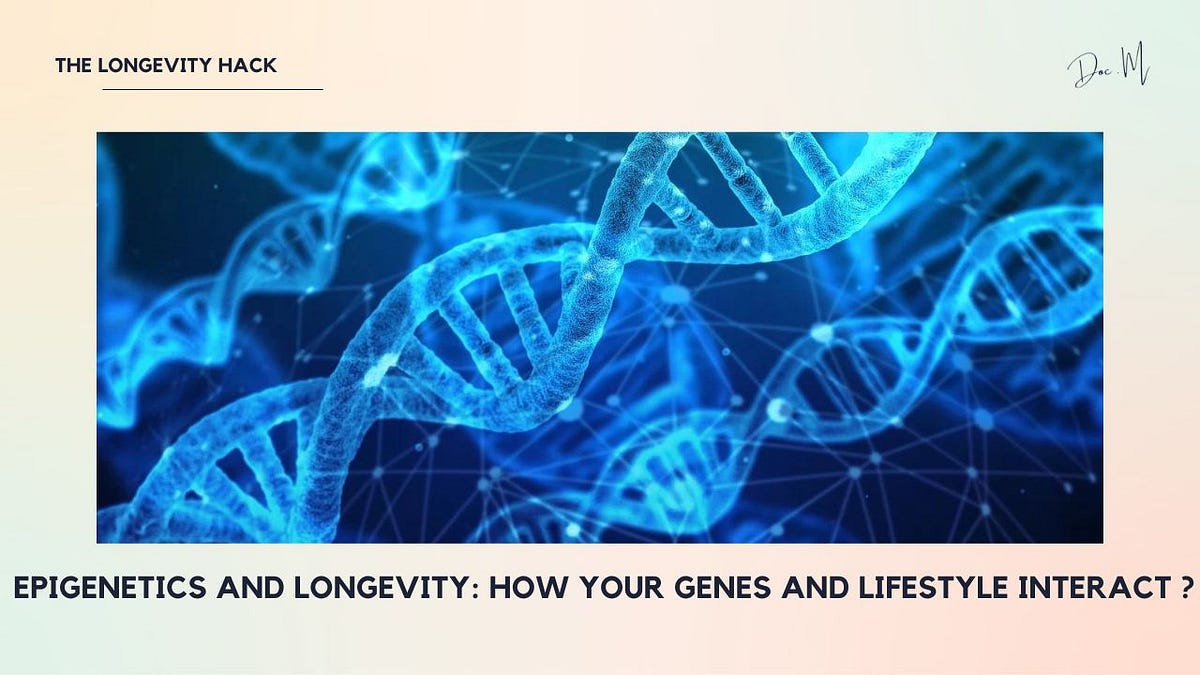 Epigenetics and Longevity: How Your Genes and Lifestyle Interact ? Read ...