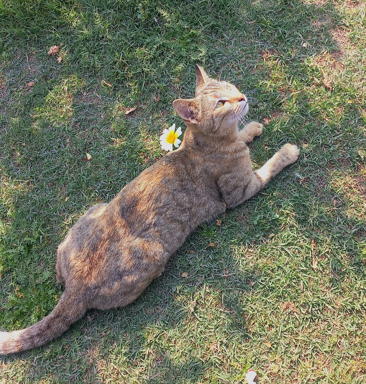 5 Random Acts of Kindness - Amal DIY Activity | by Munaza Saddique | Medium