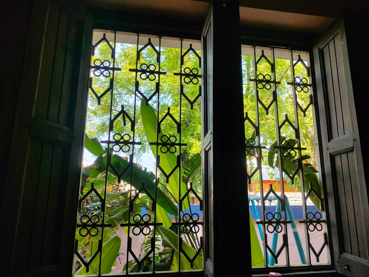 A Window Apart: Life on Two Sides of a Wall | by Deep Shikha, PhD | Write A Catalyst | May, 2025 ...