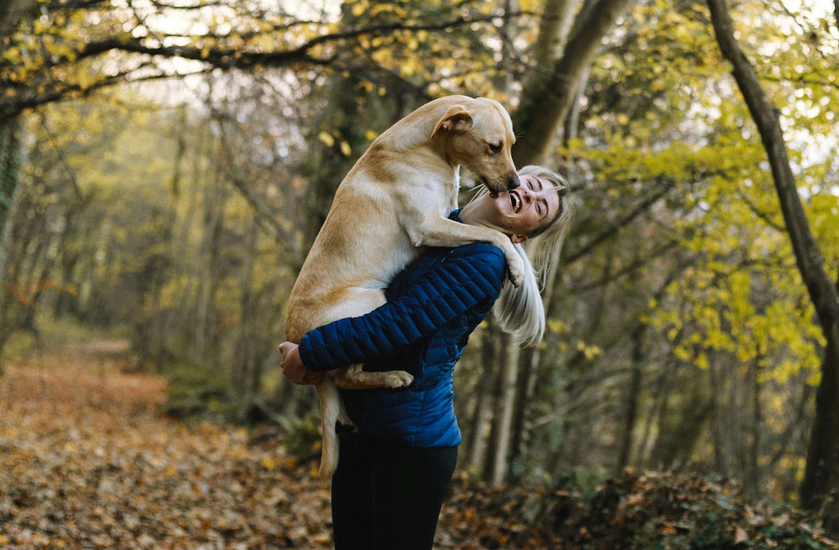 Don’t Worry, My Dog Doesn’t Bite. He scratches, he slobbers, he humps ...