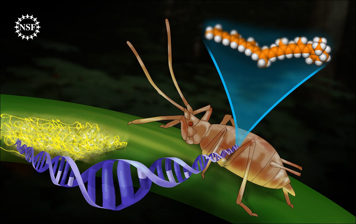 Application of Machine Learning to Life Science(Biology) — Part 1 | by ...