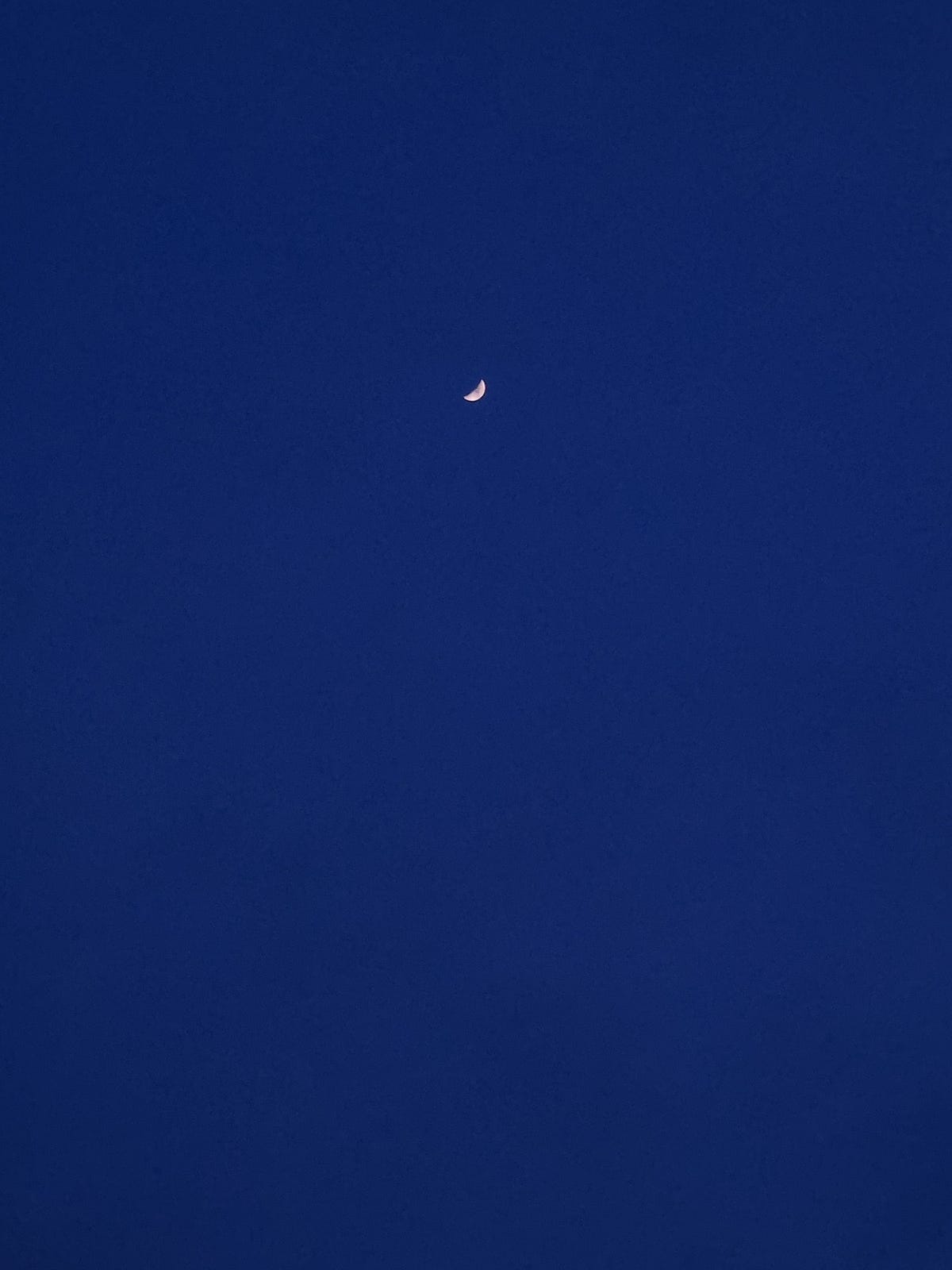 A Glimpse of Moonlight Eyes. Dear N, Sincerely hope you find your… | by ...