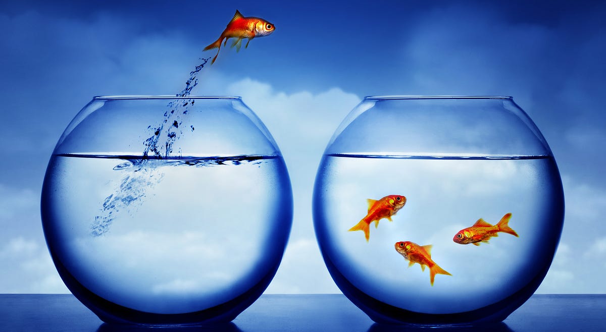 So what exactly is employee relocation and global mobility? | by ...