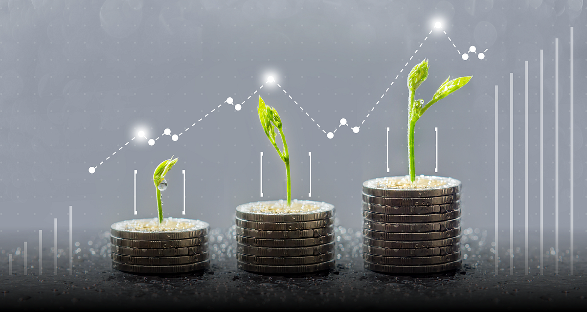 Bridging the Gap between Sustainability & Financial Metrics | by Intelligent Enterprise ...