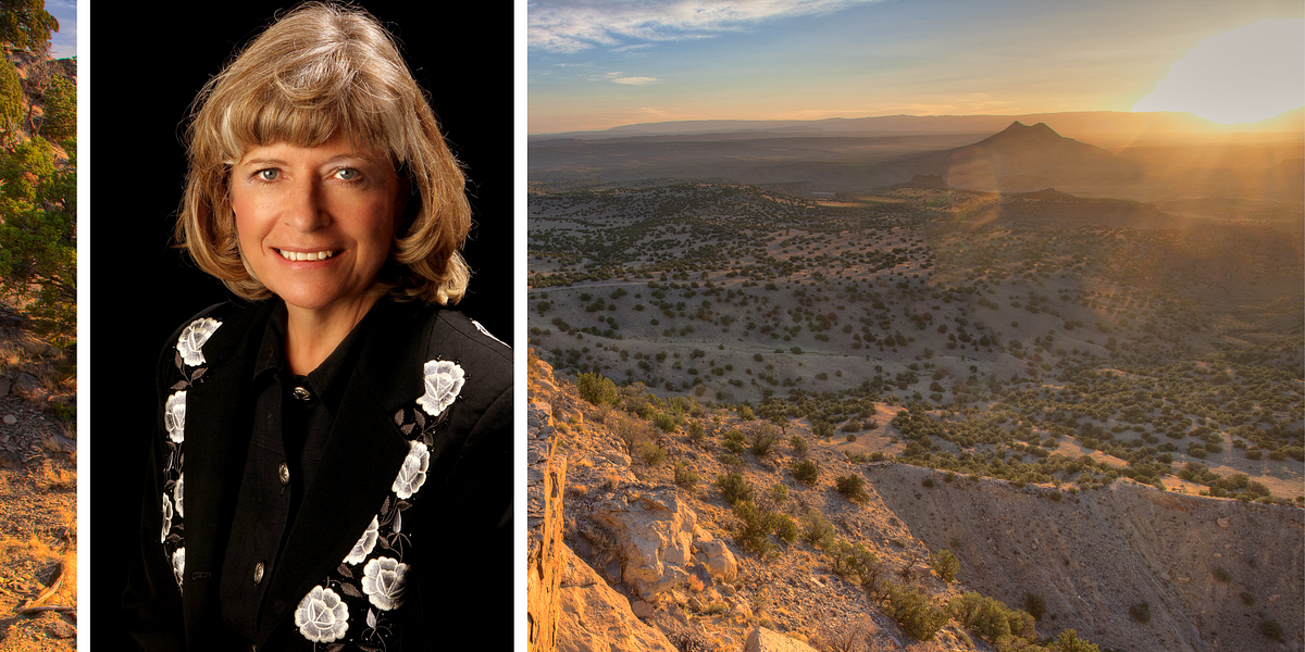 Three reasons Karen Budd-Falen is unfit to lead the Bureau of Land ...