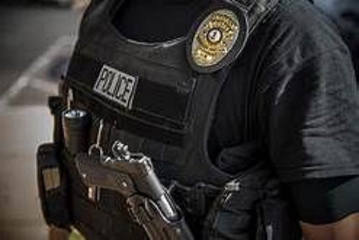 Can the Privatizing of the Police Force be Done? (Libertarian ...