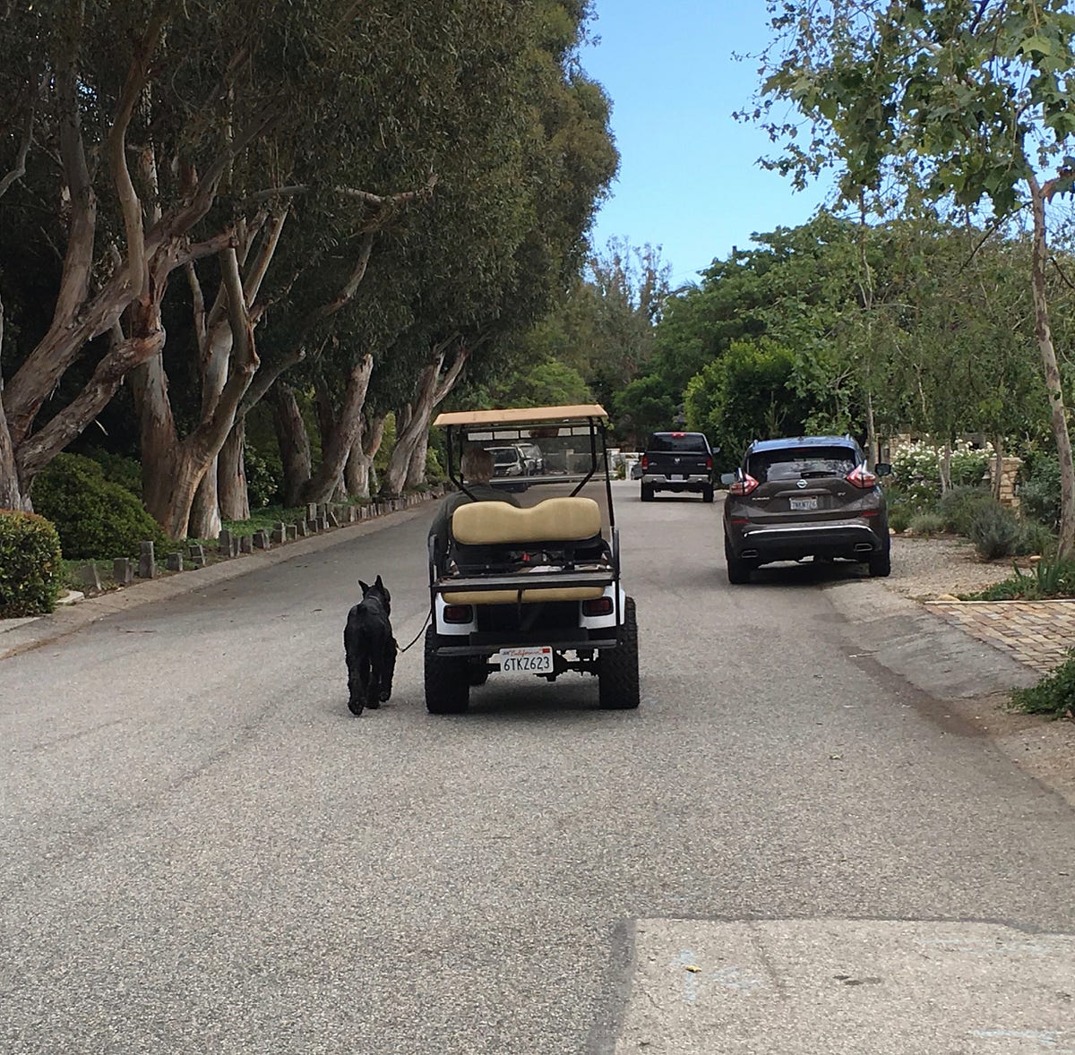The Illusion of Normal. I spent the past week living in an… | by Paul ...
