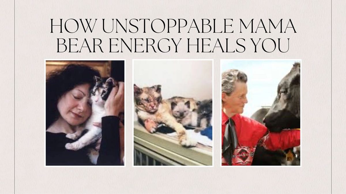 How Unstoppable Mama Bear Energy Heals You | by Cherilyn Shelly | Jun, 2025 | Medium