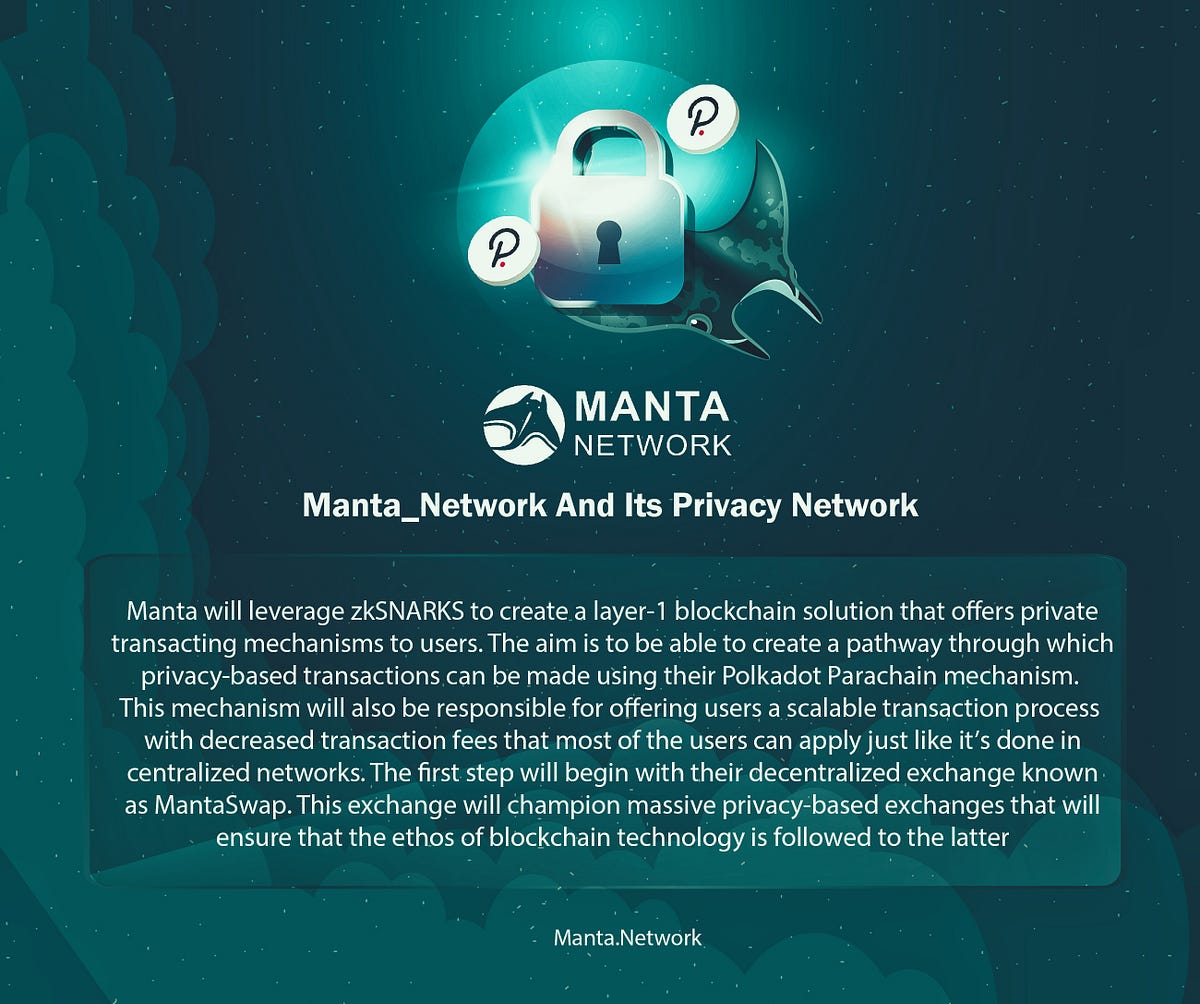 The Efficiency of the Manta Token | by Promzyelisha | Medium