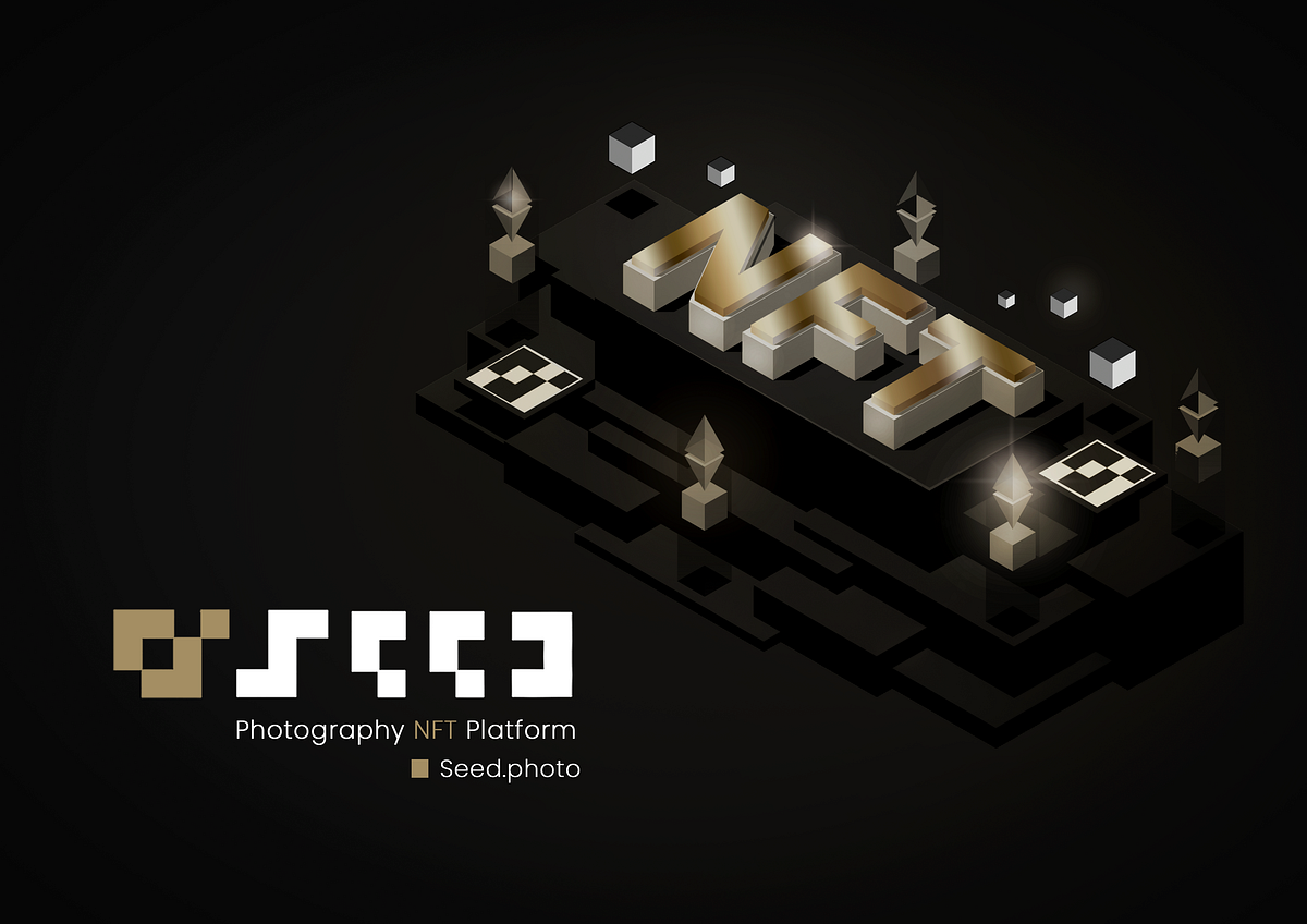 The Enduring Value of NFT Photographs: Beyond Trends and Into ...