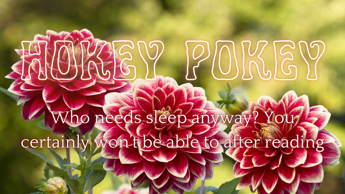 Quotes About The Hokey Pokey