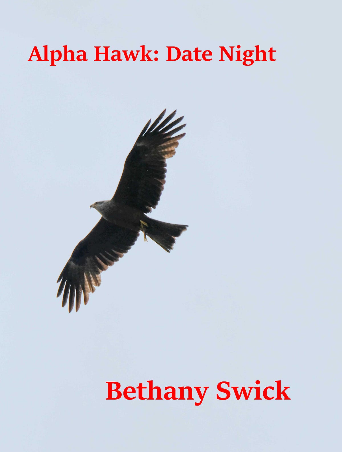 Alpha Hawk: Date Night 1: Hawk Selects his Prey. | by Bethany Swick | Medium