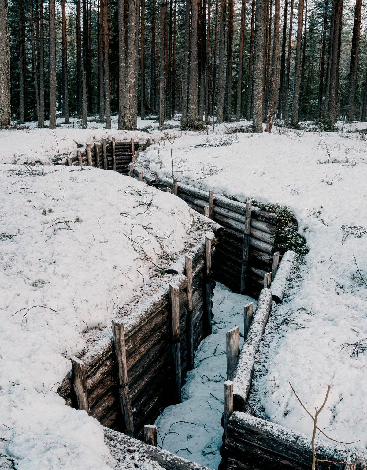 Russian Troops Plagued by ‘Mouse Fever’ in the Trenches! | by Bogdan ...