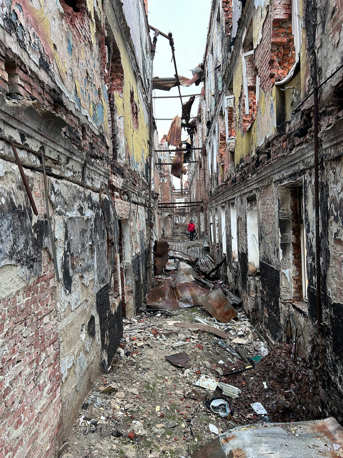 1235: Discovering Lost Memories: Friendship, Forgotten Paths, and ...