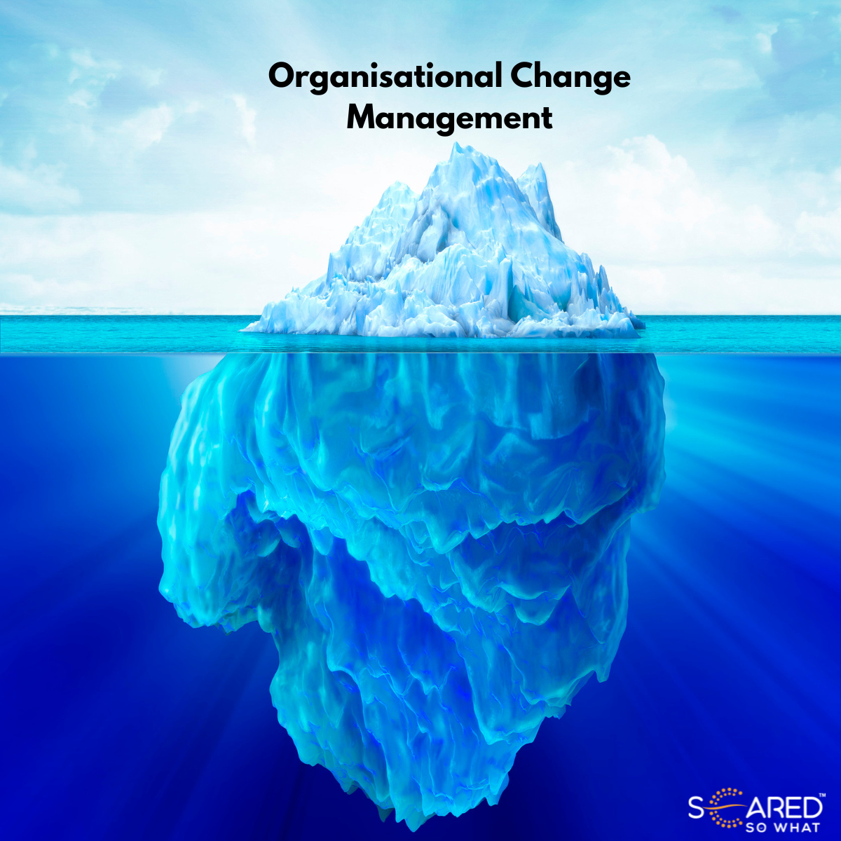 Organisational Change Must Change: Why the Future Depends on Personal ...