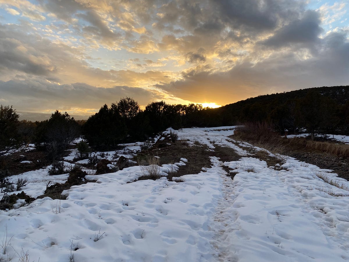 On Overton windows, carbon removal trends, anthropogenic snow clouds ...