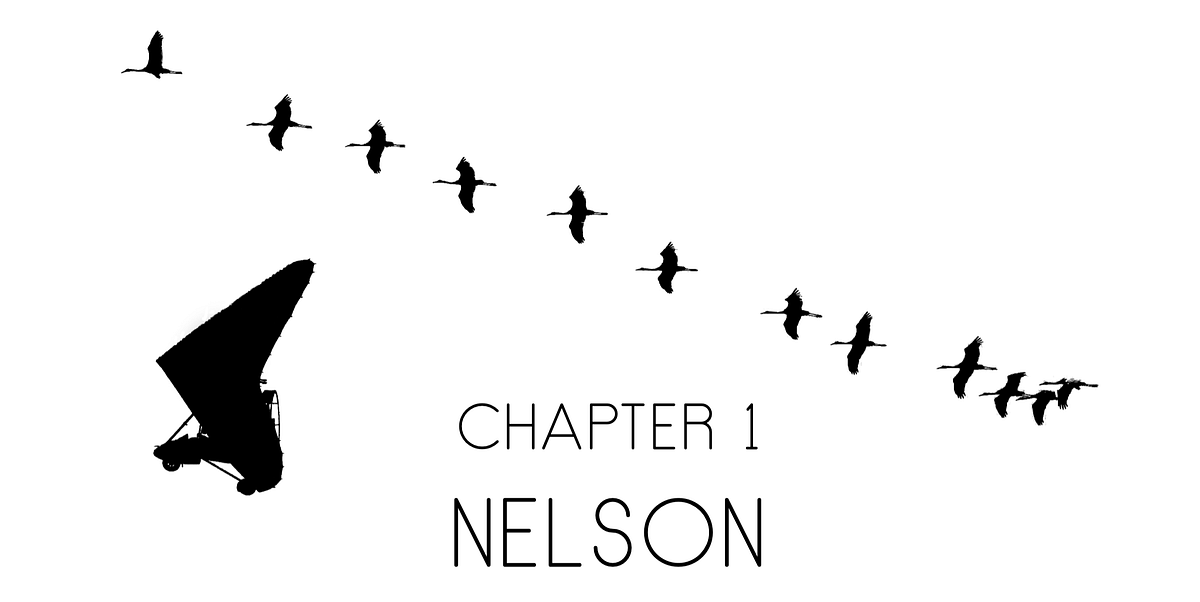 Falling Forward. Chapter 1 | by David Potenziani | Medium